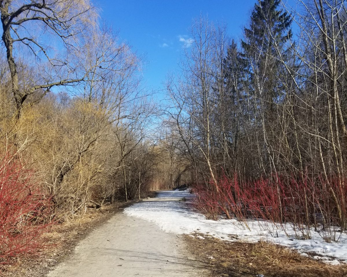 Get out and explore Toronto’s trails – Rambles and Walks