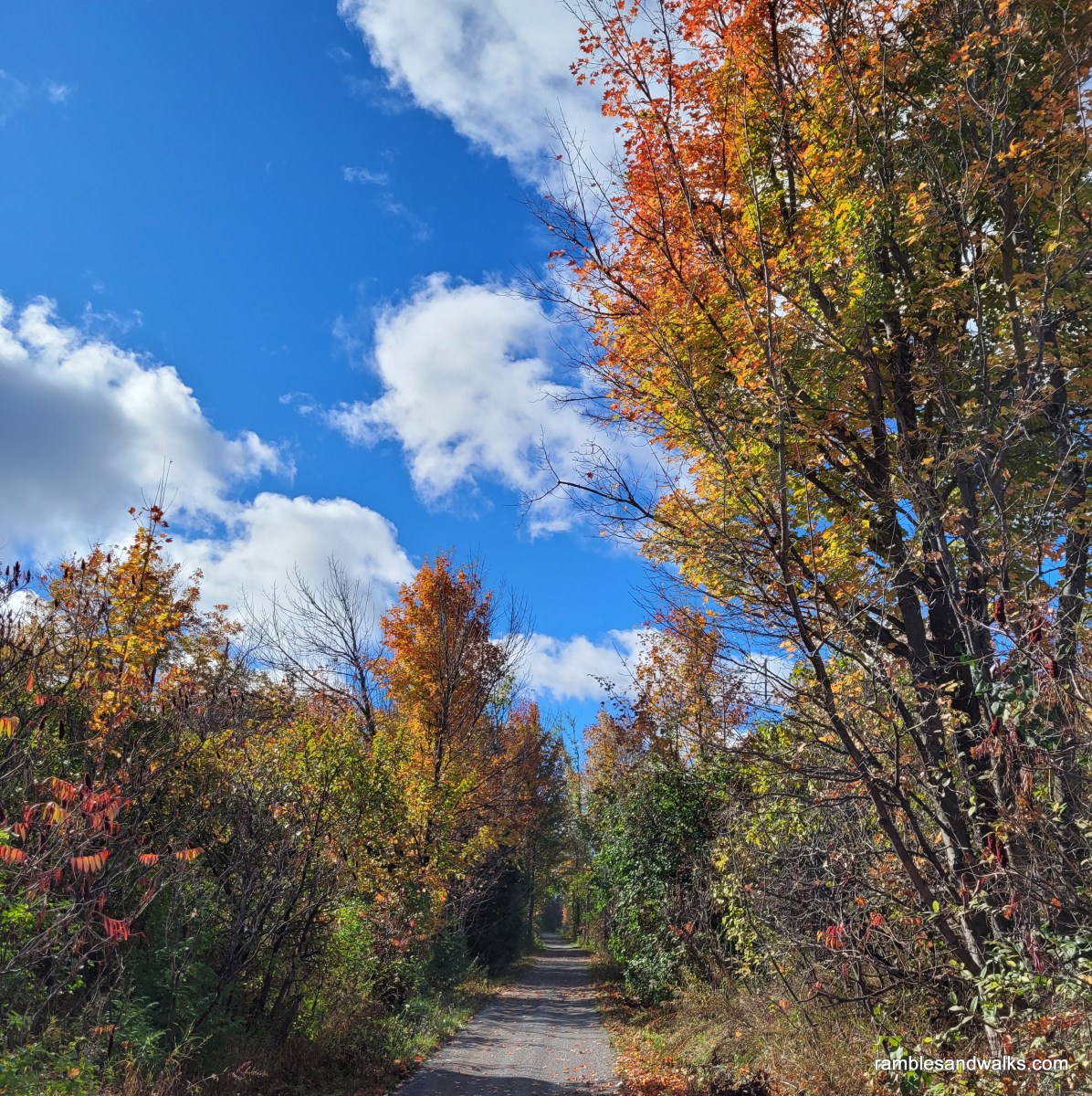 The Victoria Rail Trail – Fenelon Falls to Lindsay – Rambles and Walks